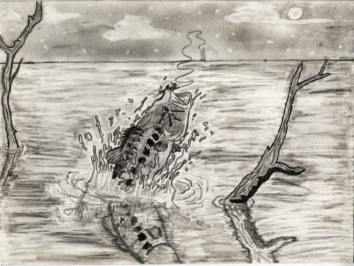 Reel Art