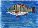 Reel Art
