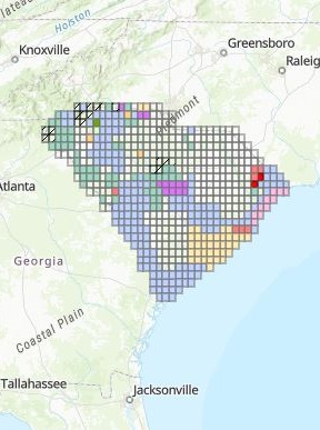 Geological Survey - SCDNR