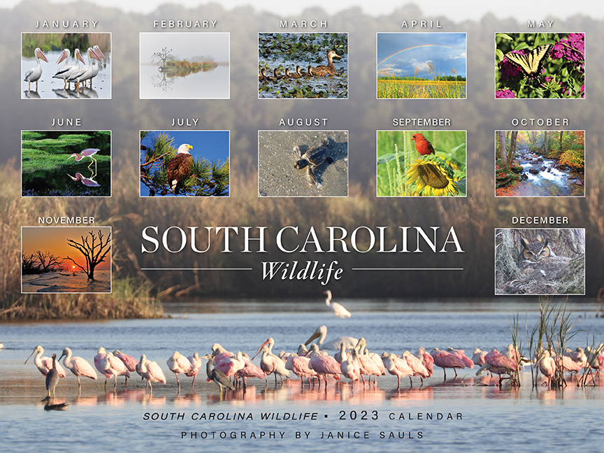 SC Wildlife Magazine