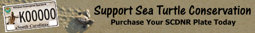 SCDNR - Marine Turtle Conservation Program