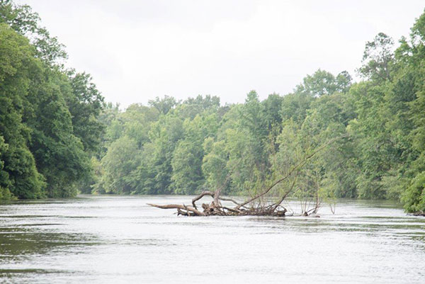 Keep the Wateree River beautiful and Don't Pass it Up, Pick it Up!
